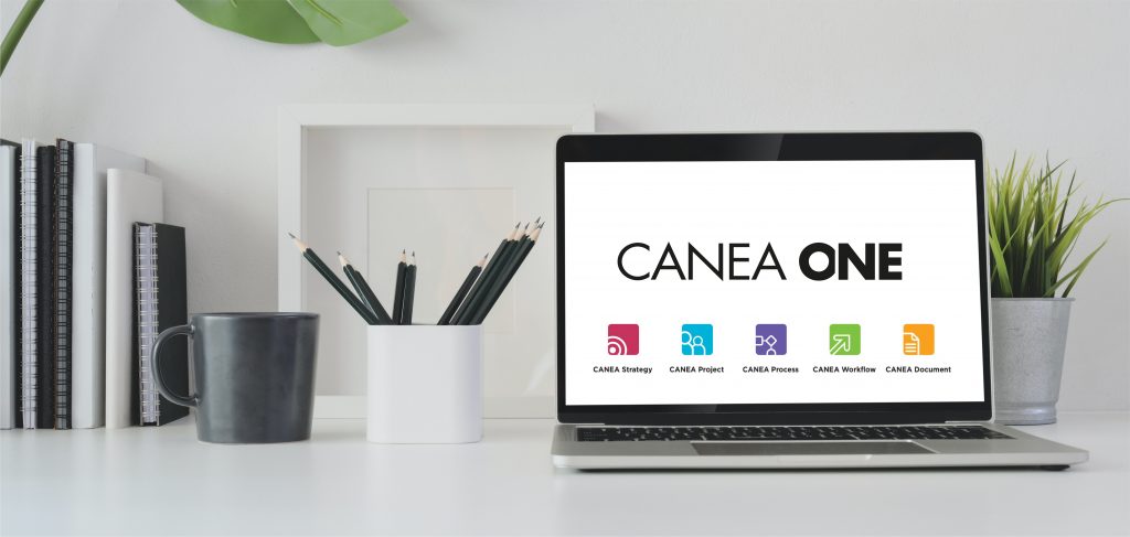 CANEA Strategy – Lombo – IT solution & management platform